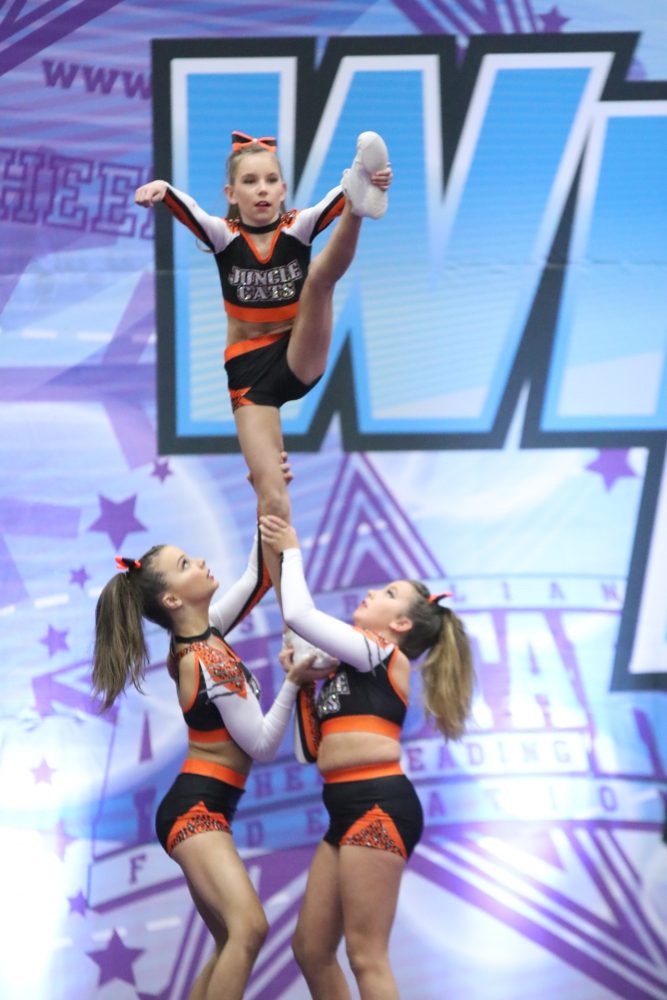 Cheerleading Mornington Peninsula - Compeition Cheer - Jungle Cats